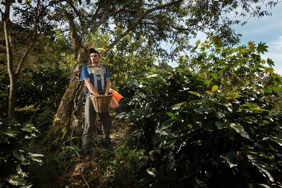 Awake Coffee and Conversation – Coffee Shop & Cafe Focused on Relationships